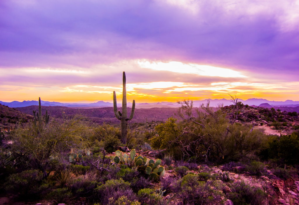 Communication is a Top Priority | Solidifi