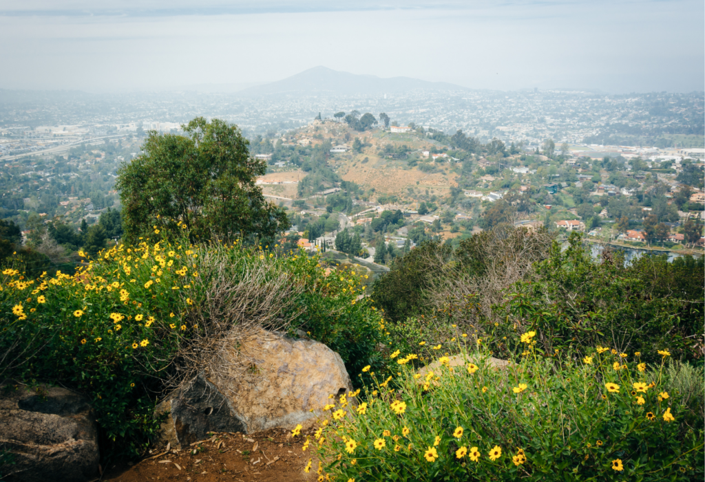 Above all, professionalism means respecting your clients | Solidifi