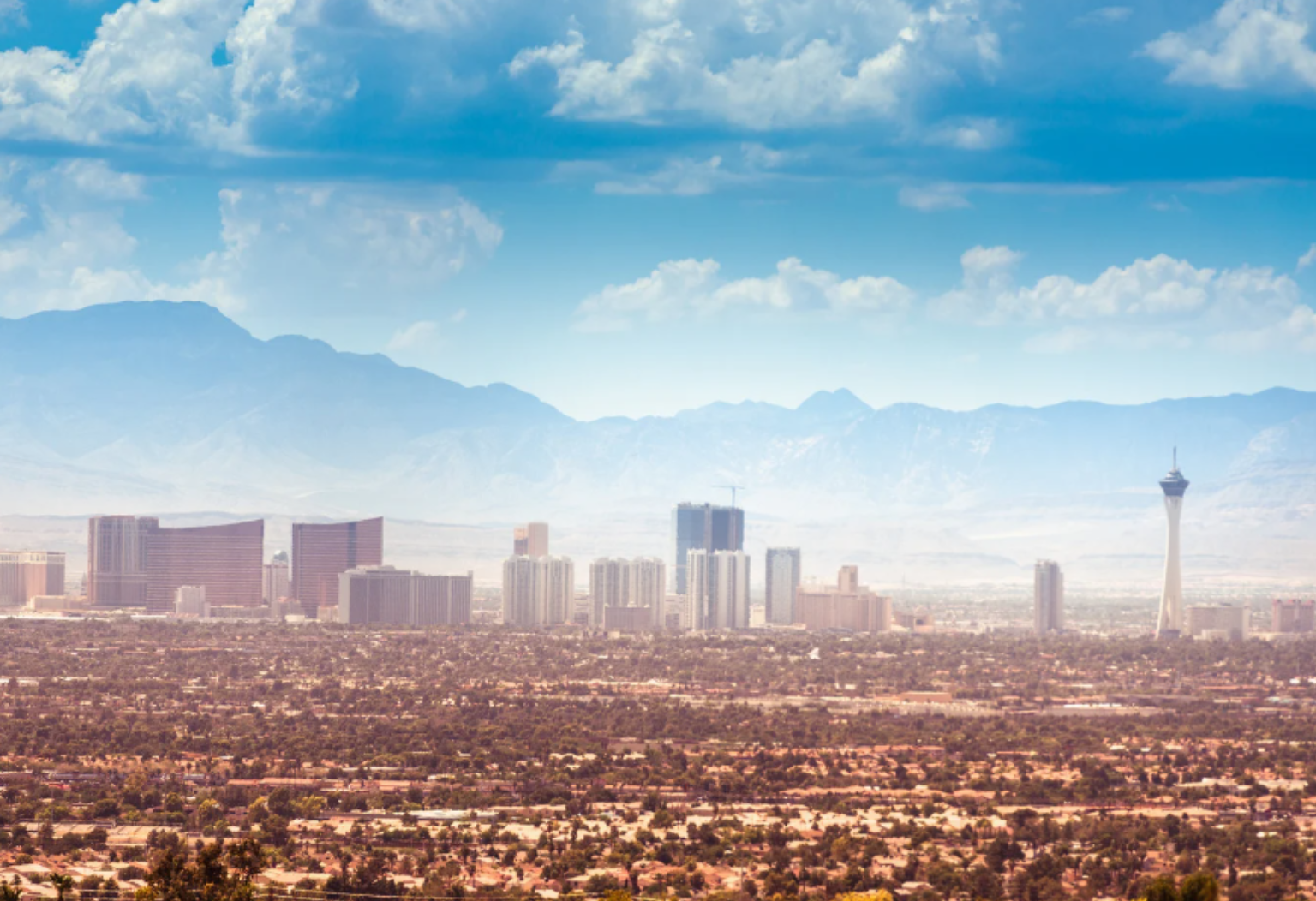 Local Insights from Extraordinary Professionals | Solidifi