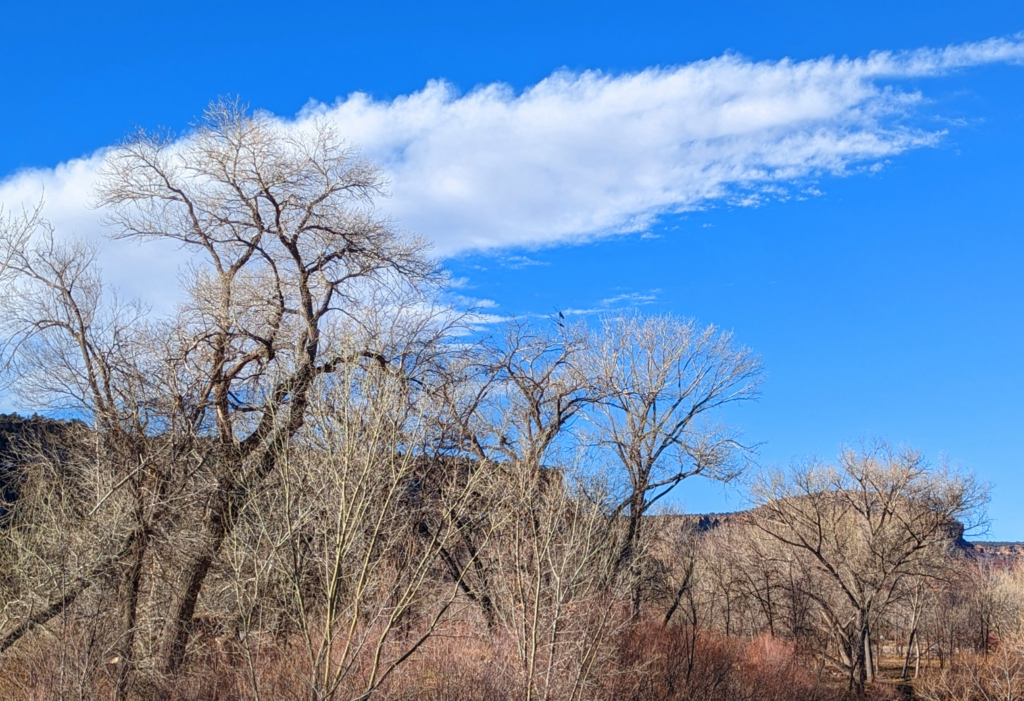 Empathize, listen, and offer guidance throughout the appraisal process ...